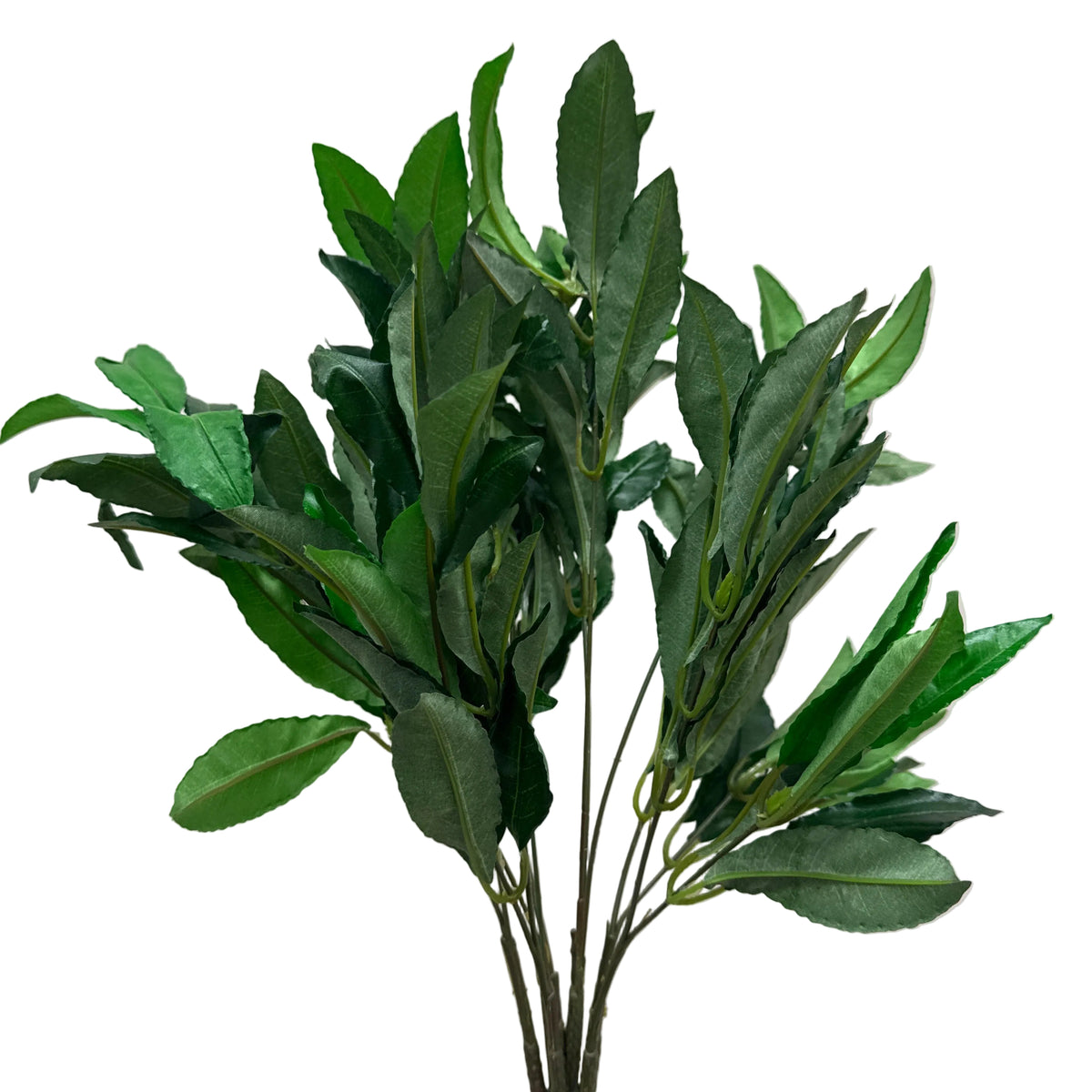 20” Bay Leaf Bush – Nick's Seasonal Décor