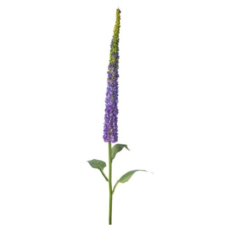 44" Amaranthus Stalk (Purple) – Nick's Seasonal Décor