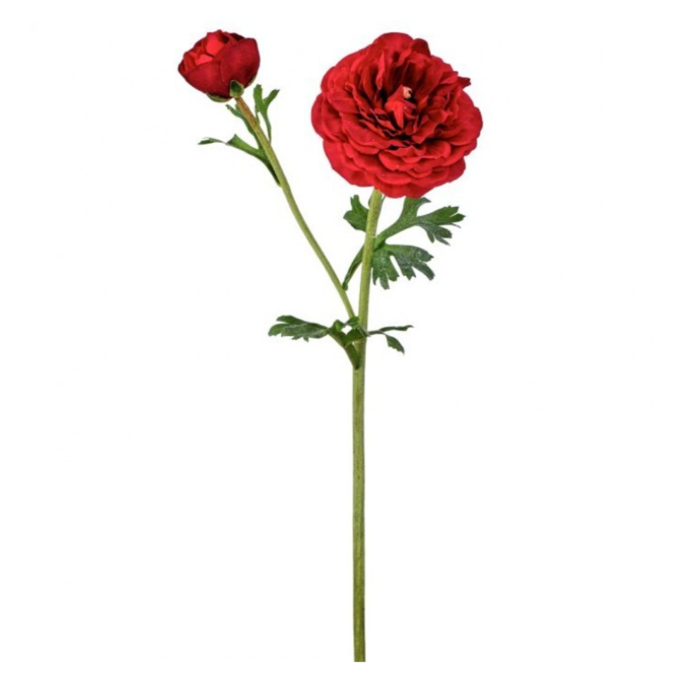 19" Just Cut Clooney Ranunculus +Bud (Red) – Nick's Seasonal Décor